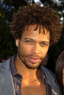 DE TODO UN POCO: GATO DO DIA : GARY DOURDAN