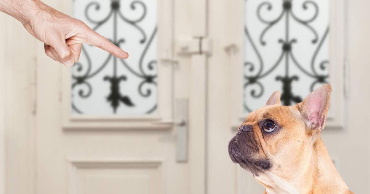 Rants Within the Undead God: The Pointing