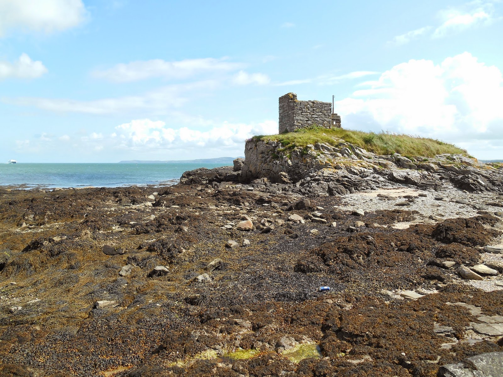 A lifetime of Islands: Island 223 - Ynys Peibio, Holyhead, Holy Island ...