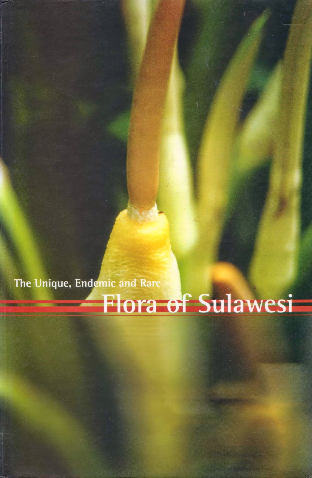 Huc & Gabet: The Unique, Endemic and Rare Flora of Sulawesi