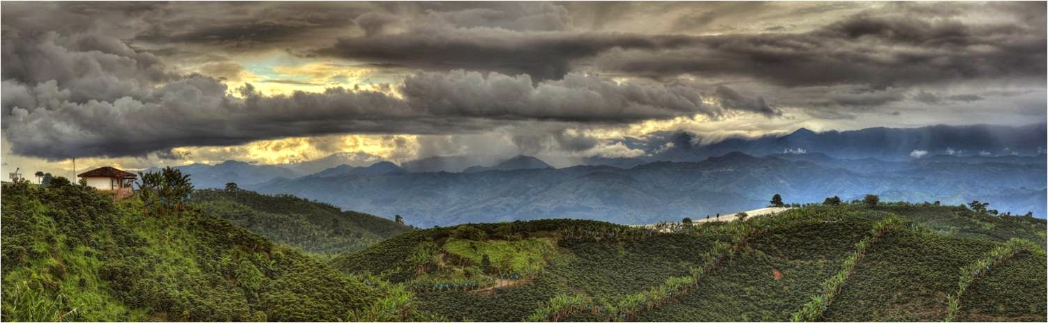 Risaralda: Departamento de Risaralda