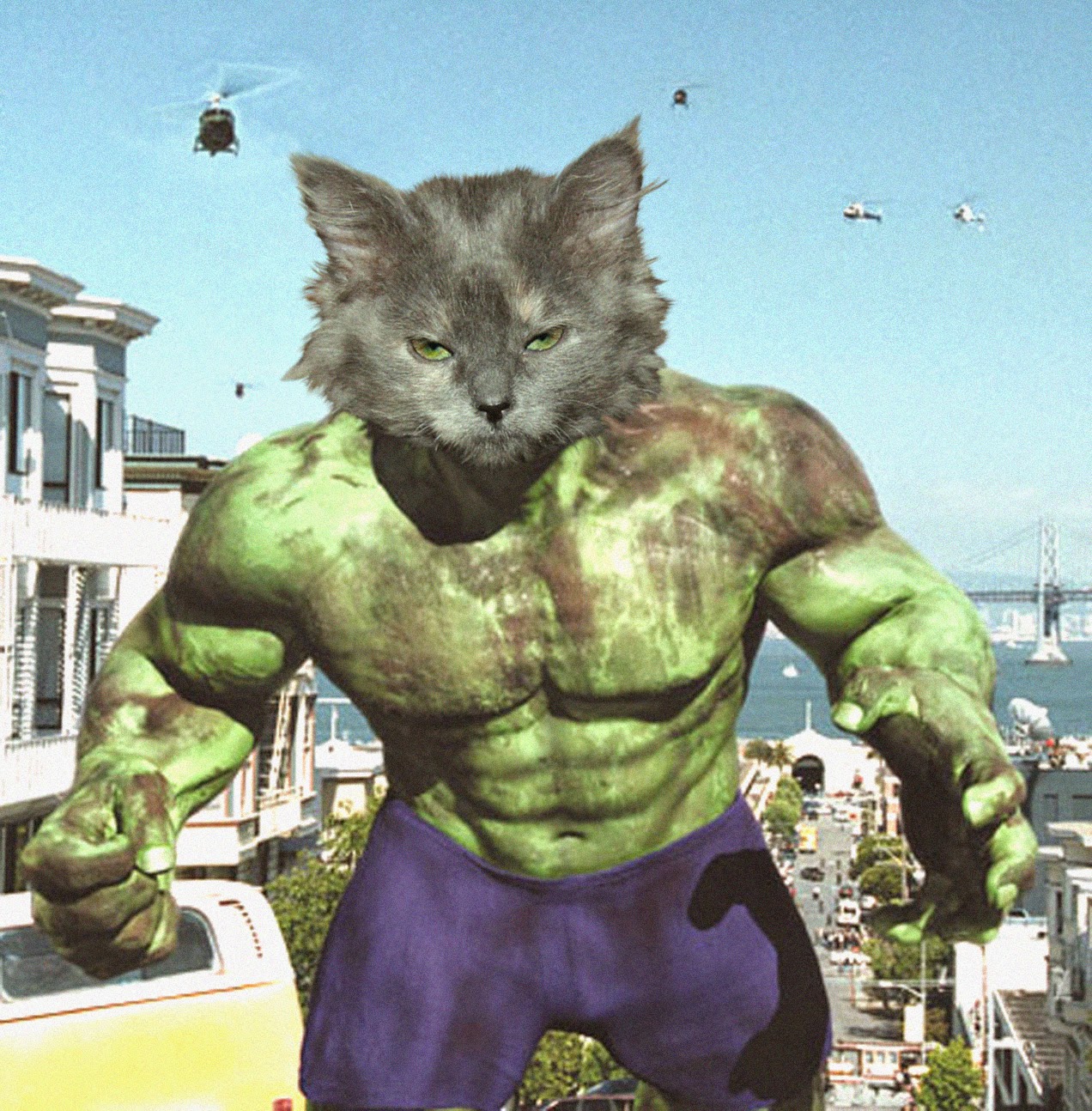 Pat on the Back: Mark Ruffalo | CATS AND CLIMATE CHANGE