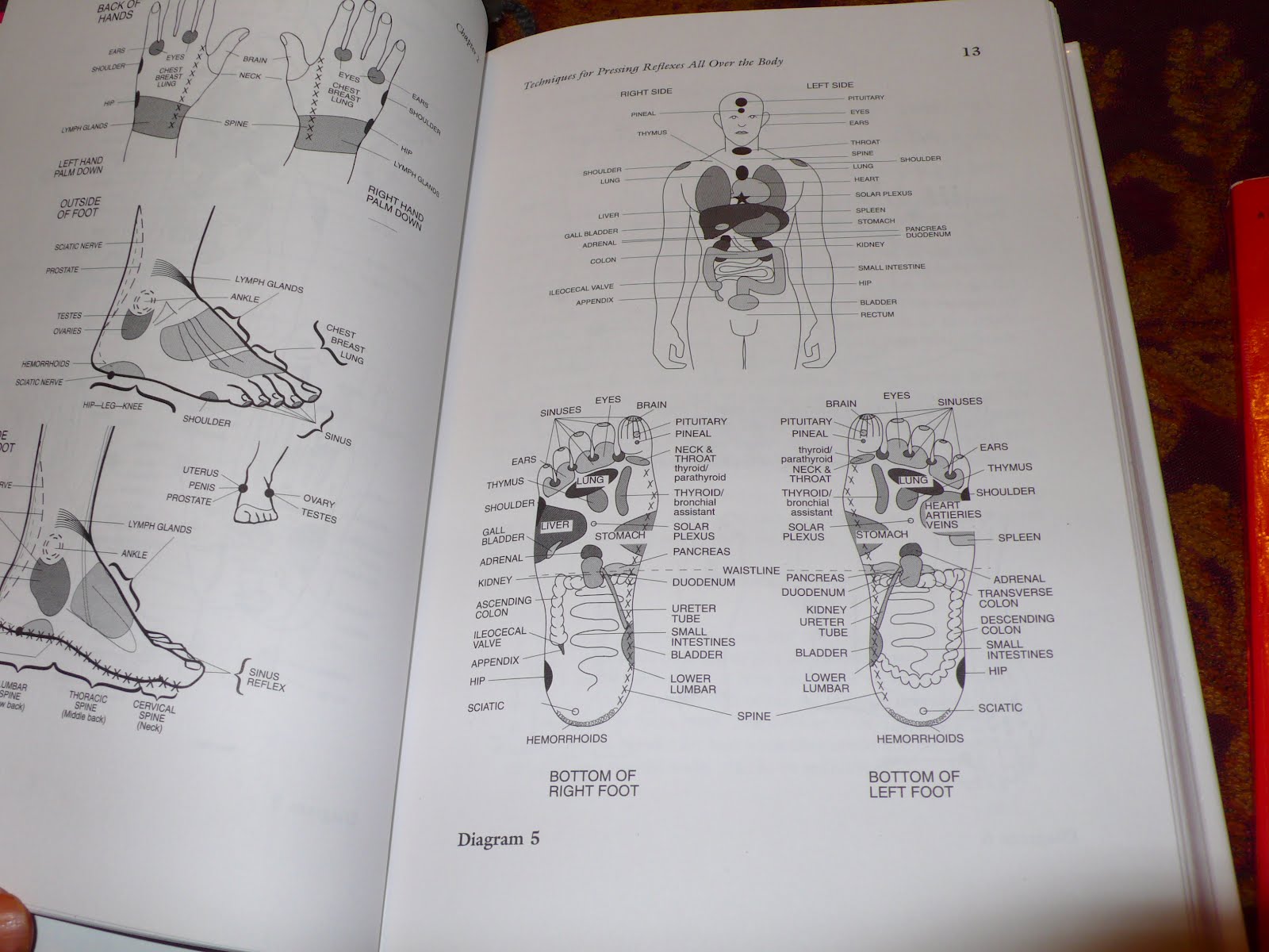 The "Secret" is Gratitude: Reflexology Points for Constipation or Colon ...