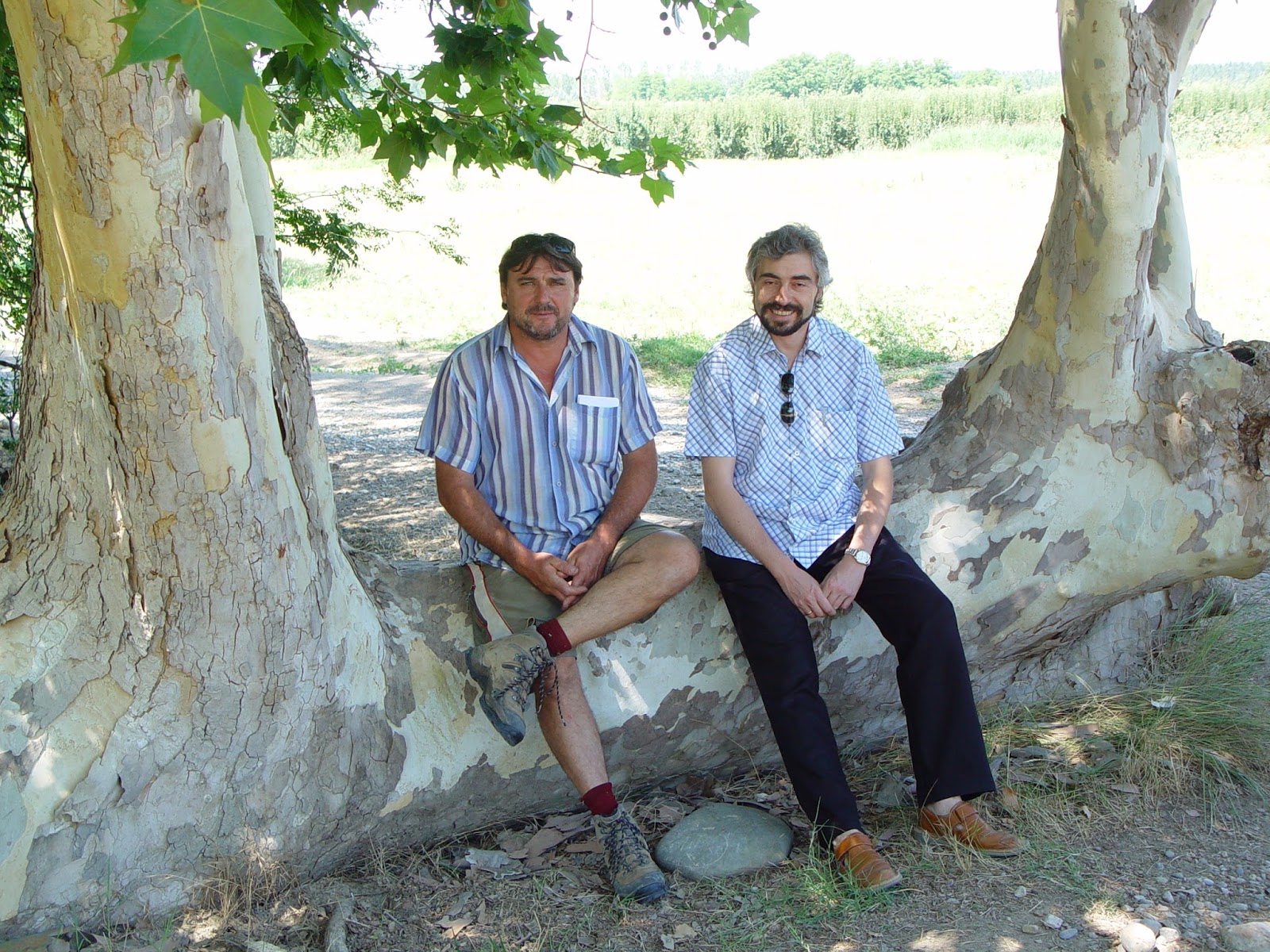 BLOG IMPRESO EN PIEDRA: EL POBLADO DE RIPOL (Binaced)