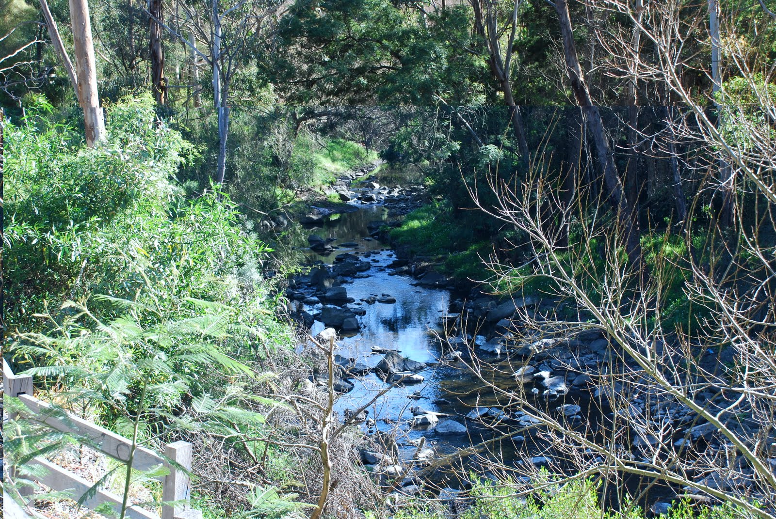 walkabouters club of victoria inc: Darebin Creek Trail - Saturday, 27th ...