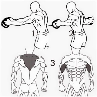 Back Flyes With Resistance Bands |back exercise - Gym And Fitness