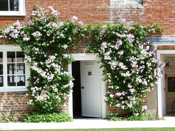 Jane Austen: Commemorating the Anniversary of Jane Austen’s death with ...