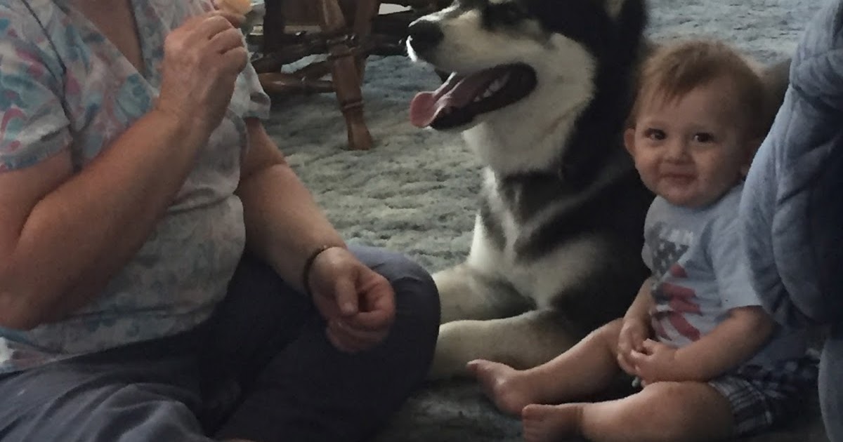 THOMPSON FAMILY: Teisha, Ryan, & Jayden Road Trip To Lovell