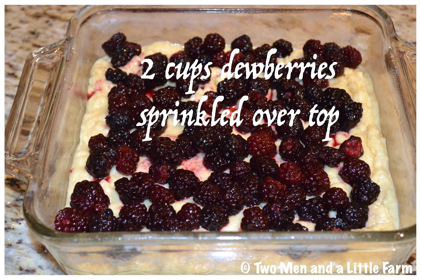 Two Men and a Little Farm: DEWBERRY FRUIT BUCKLE RECIPE