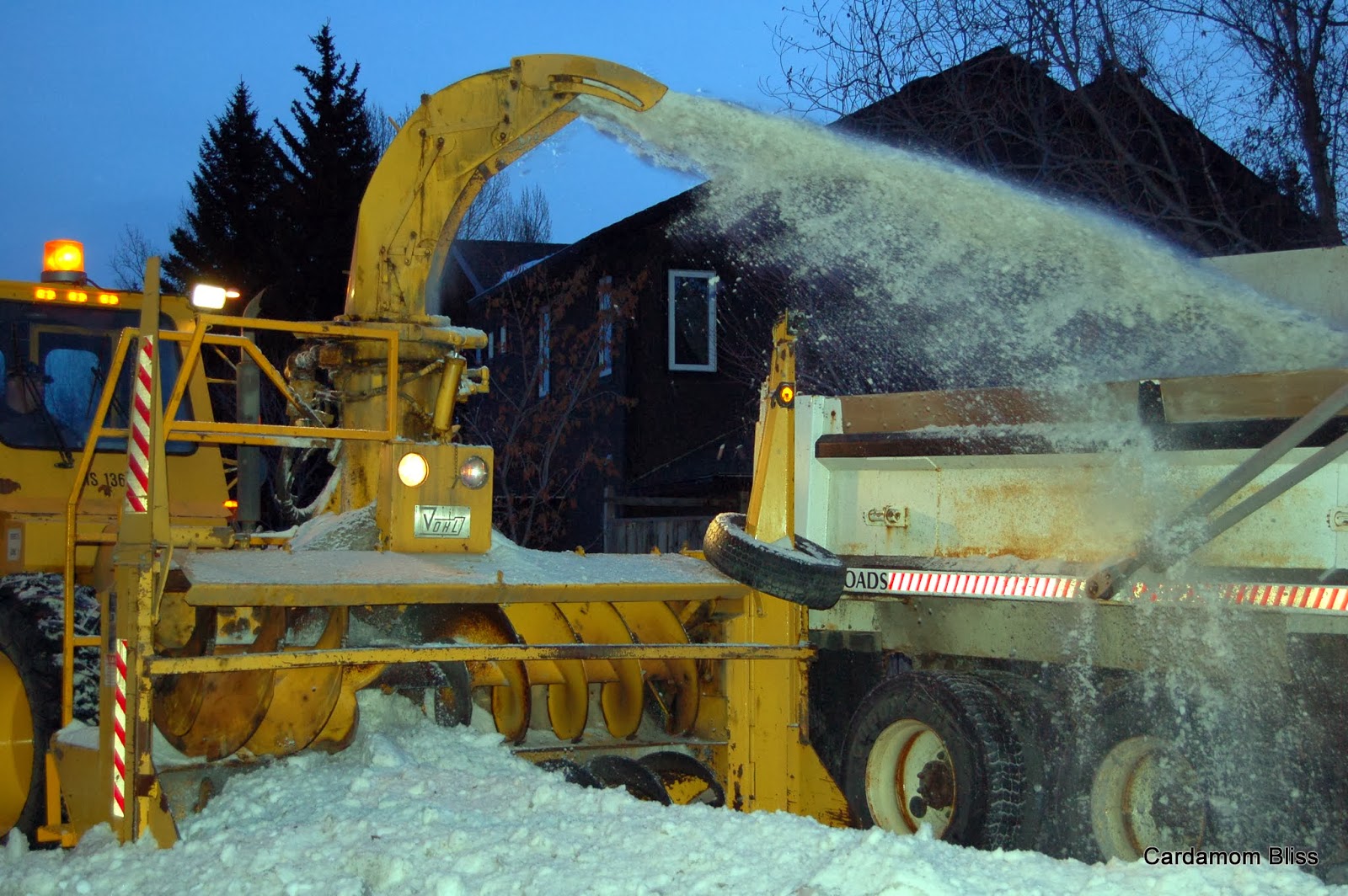 Cardamom Bliss: It's not your mamma's cooking: This much snow requires ...