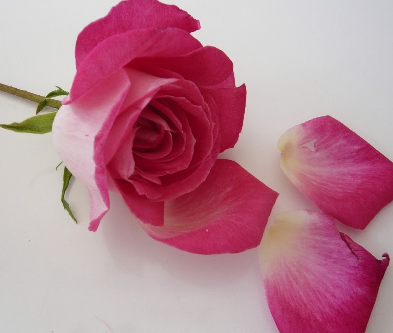 Lee Caroline - A World of Inspiration: How To - Step By Step To ...