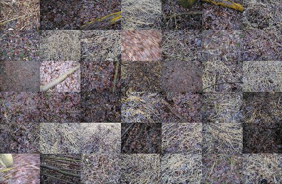 PYTR 75: Michael Sherwin