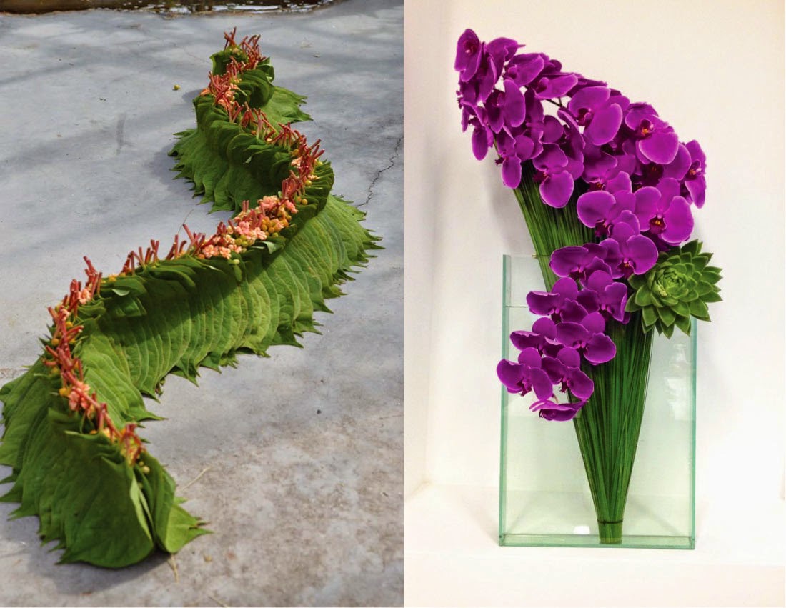 Design in Line: Floral Structure