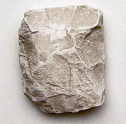 CV. Teja Putra Mandiri: Batu Kapur (limestone, batu gamping)