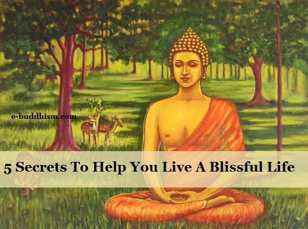 结缘之窗: 5 Secrets To Help You Live A Blissful Life