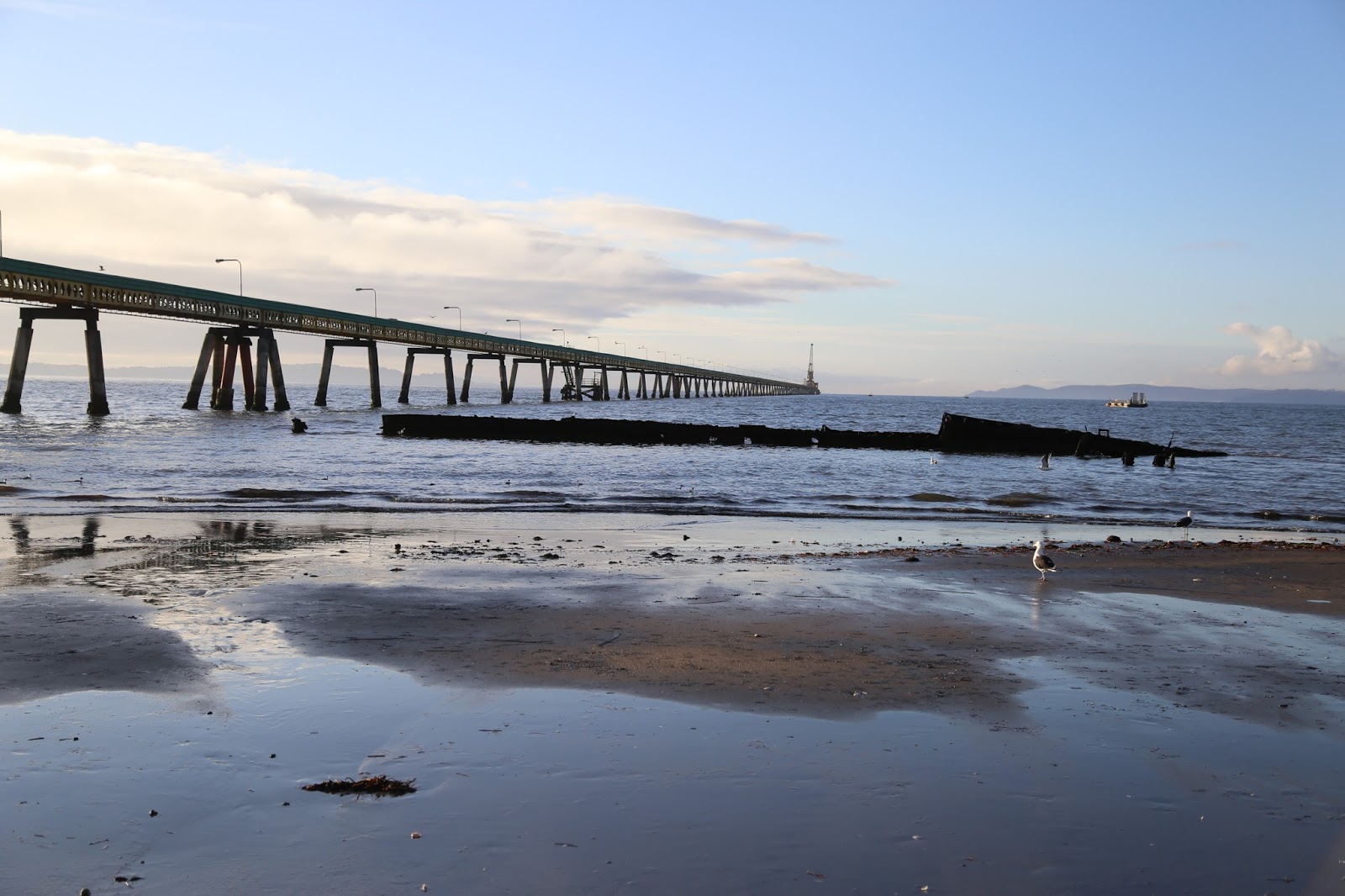 Penco: MI PASEO A LO LARGO DEL MUELLE DE COSAF