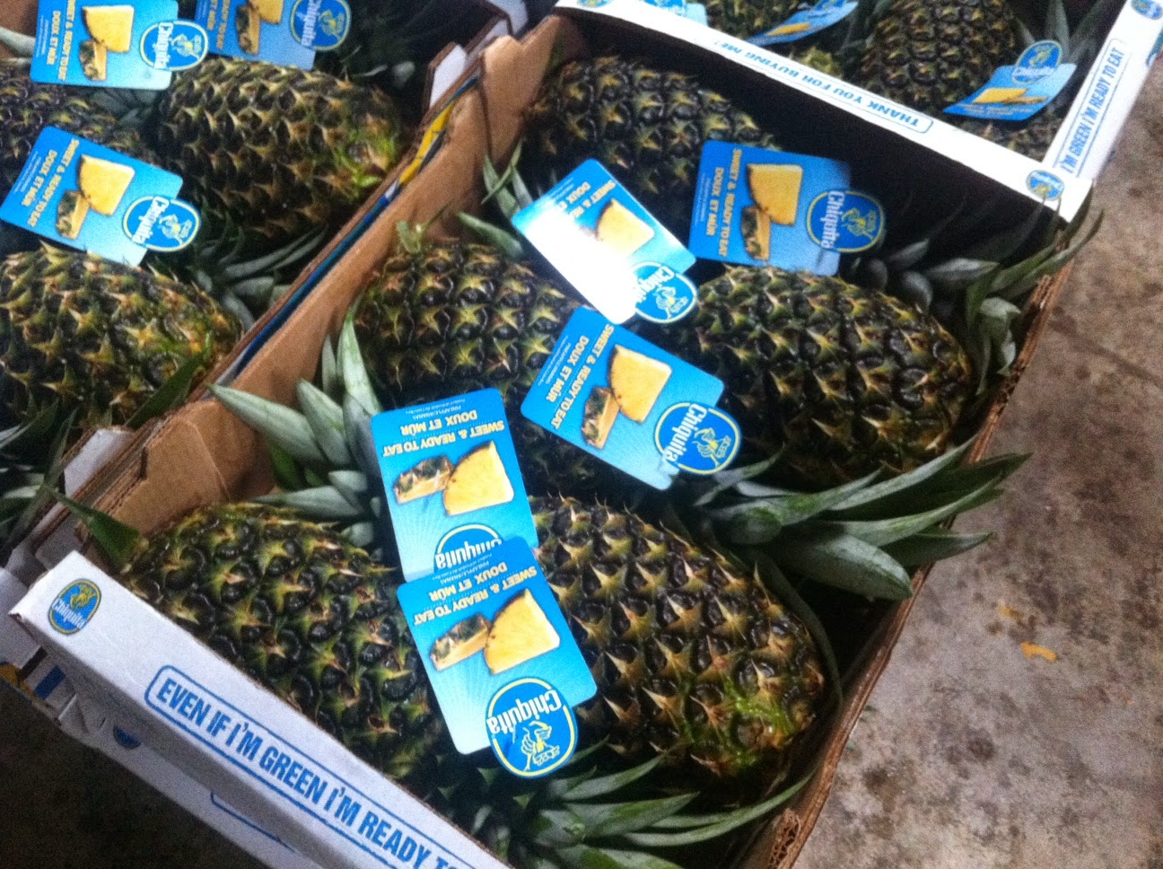Costa Rica Invest: Shipping Pineapple to New York