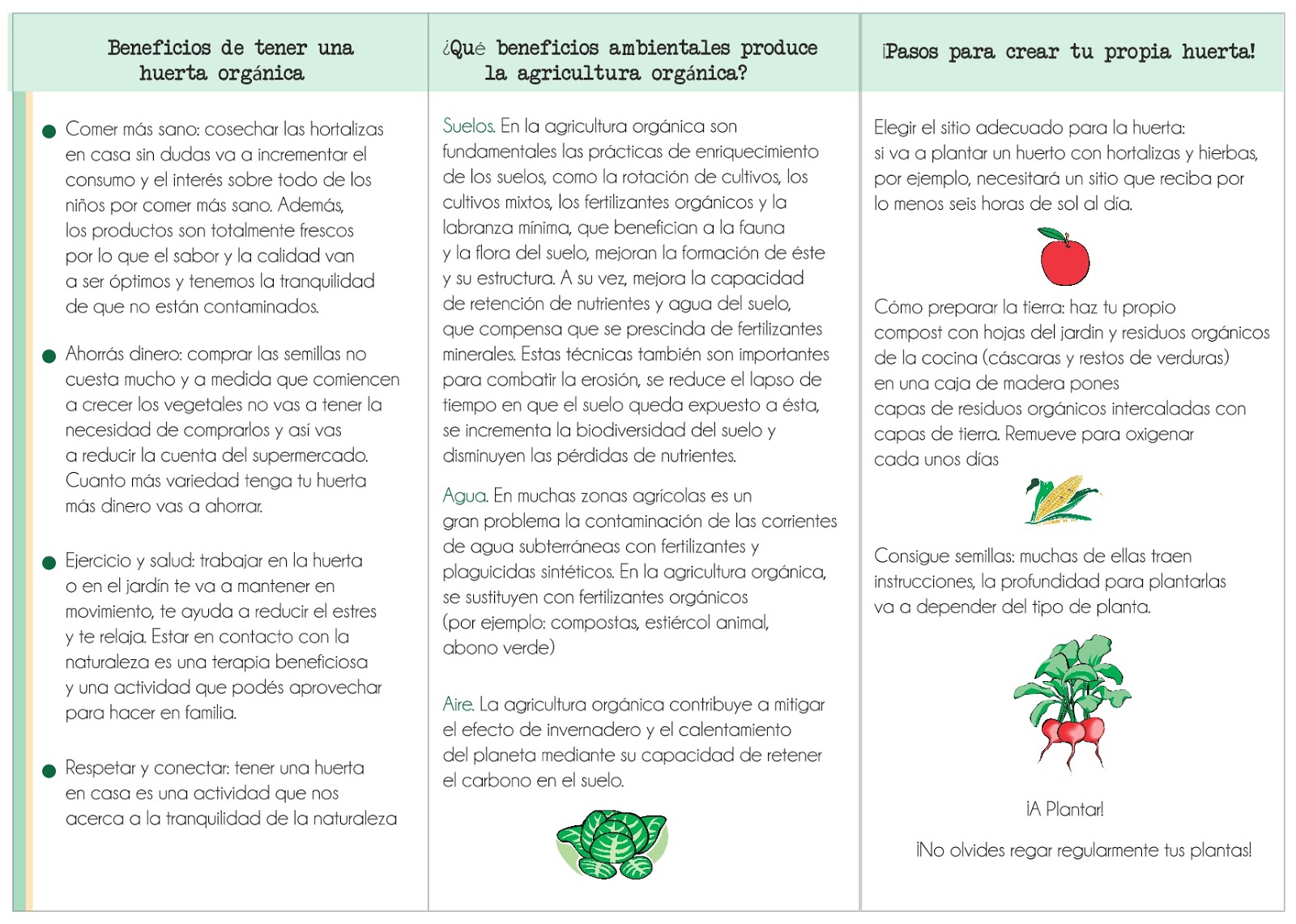 Desarrollo sostenible: Huerta Orgánica - Folleto