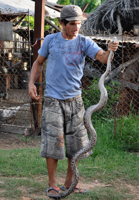 Lente Holguinero: TREMENDO MAJA DE SANTA MARÍA.