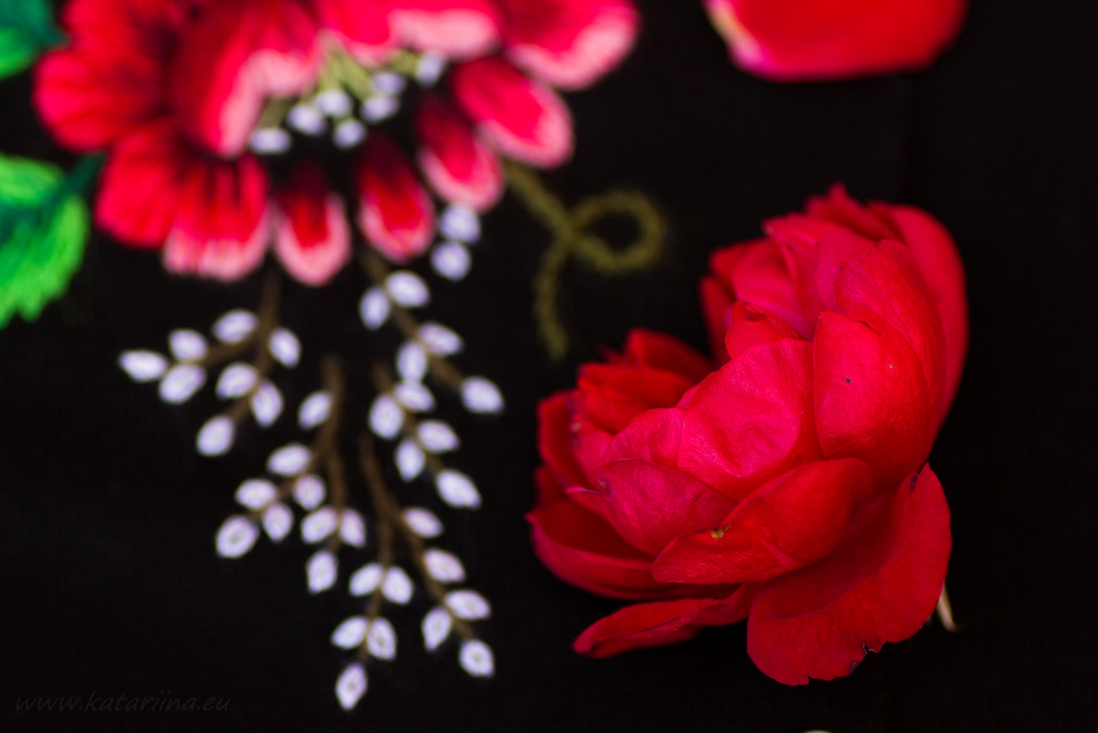 Katariina kudugurmee: Punased roosid.