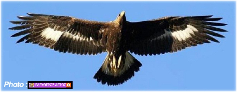 ΤΕΛΙΚΗ, ΟΡΙΣΤΙΚΗ ΚΑΙ ΑΜΕΤΑΚΛΗΤΗ ΑΠΑΝΤΗΣΗ ΣΕ ΟΣΟΥΣ ΑΠΕΙΛΟΥΝ ΜΕ ...