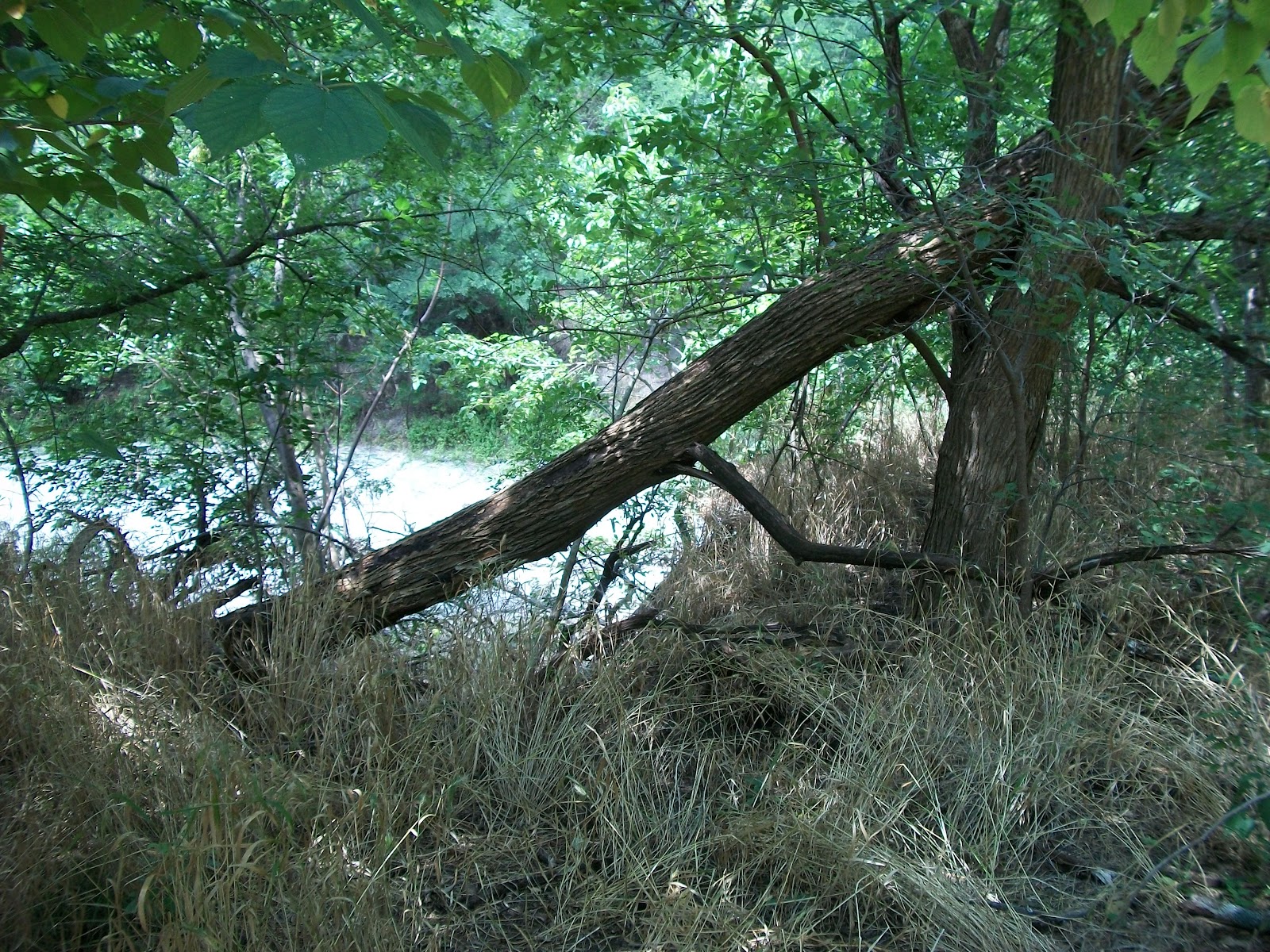 Bois d'arc Branches: Allen Station - Steam Engine Train Water Stop