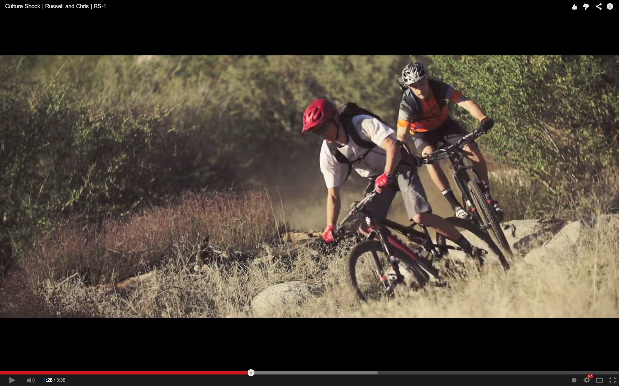 Green Bird: RockShox inverted Fork