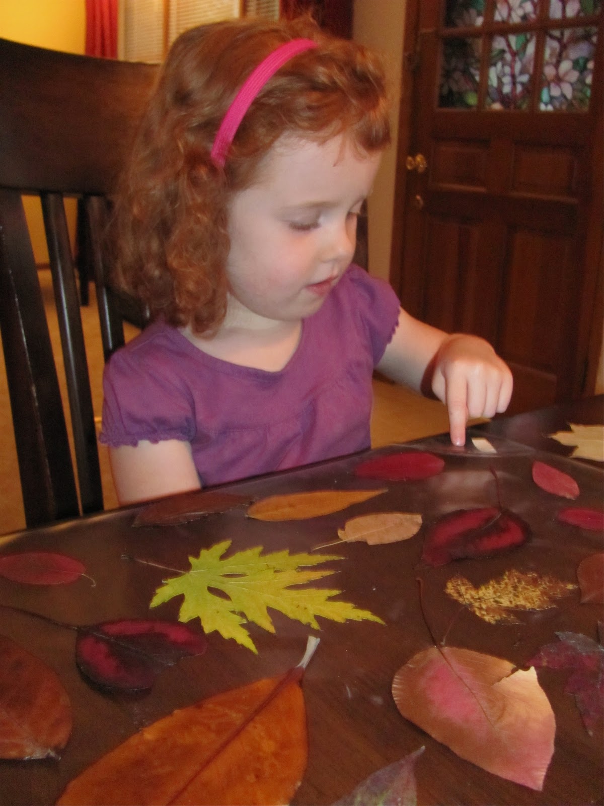 The Chocolate Muffin Tree: Contact Paper Fall Leaf Garland