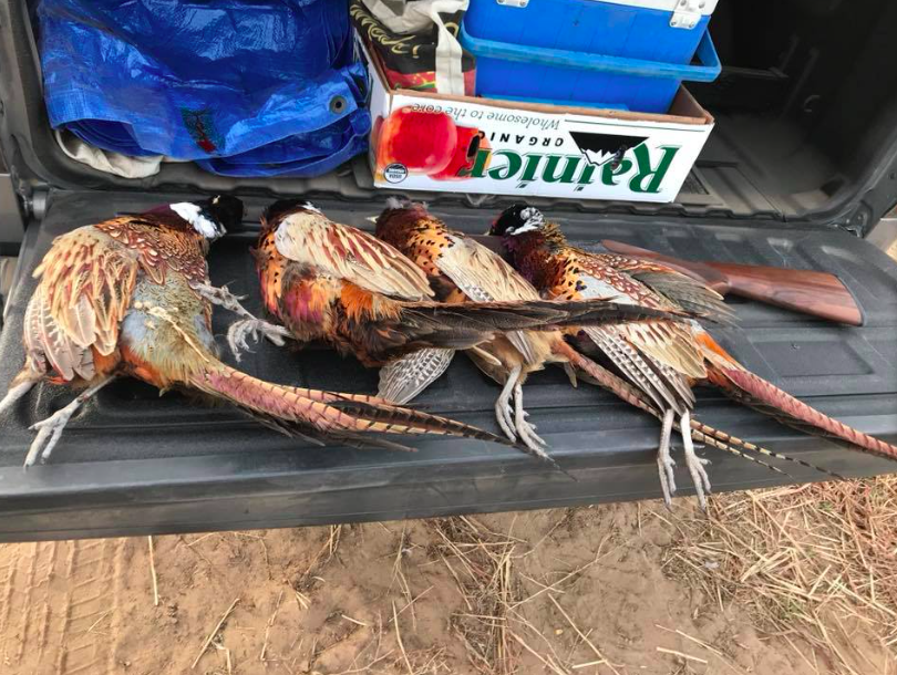 The Rednecks Fly Fishing and Hunting Chronicles: December 2017