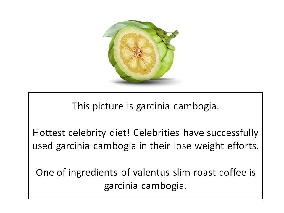 Valentus Slim roast coffee with ingredients garcinia cambogia for lose ...