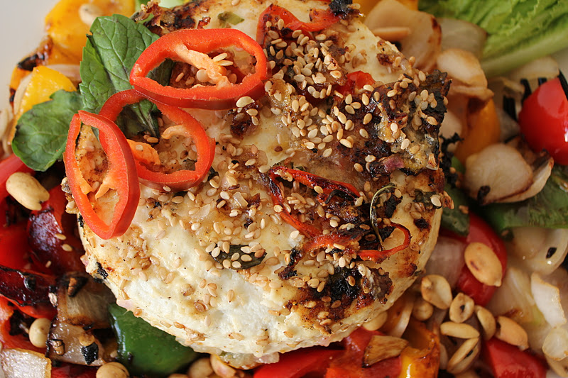 Paneer Steak with Roasted Peppers - Ribbons to Pastas