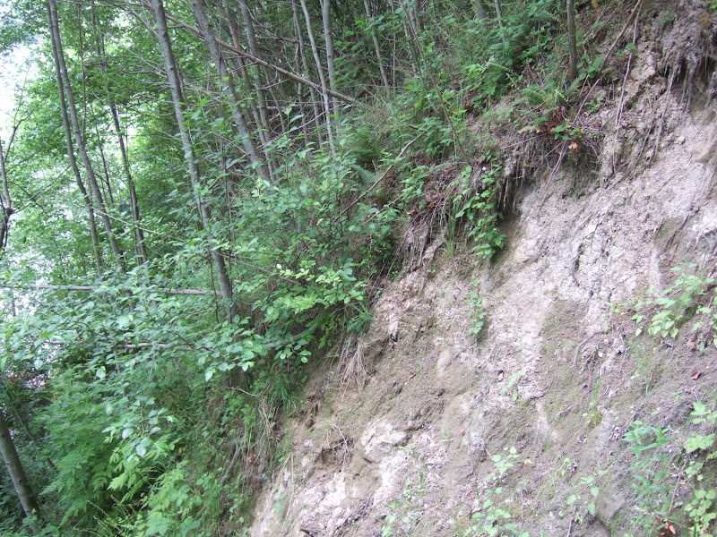 Reading the Washington Landscape: Agate Pass, Bainbridge Island