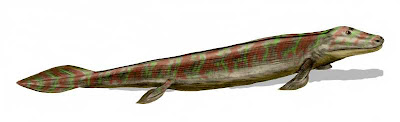 Life Before the Dinosaurs: Tiktaalik.