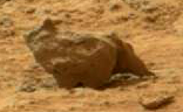 Graffity@Mars: Animals on Mars