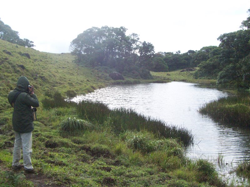 Way to your dream place: Arippa