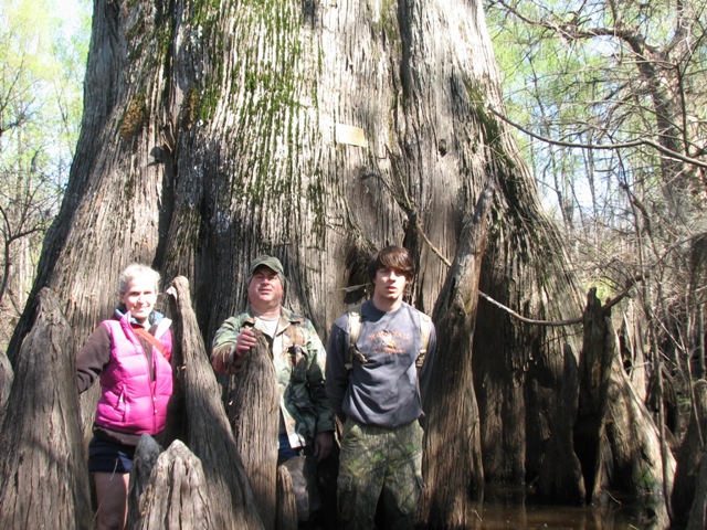 Louisiana Purchase Cypress Legacy: Three Rivers WMA Giant Cypress ...