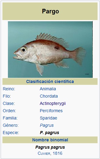 taxonomicos riohacha