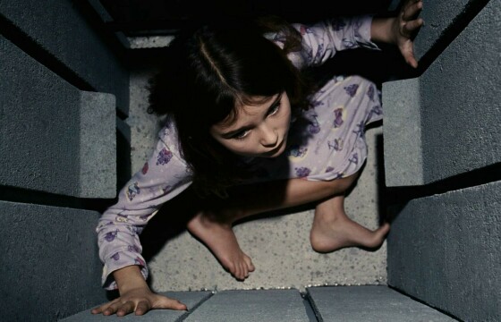 Film Fan: Walled In (3 Stars)