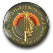 Israel Defense Forces,logo,badges and wallpaper 3D-HD: IDF badge button ...