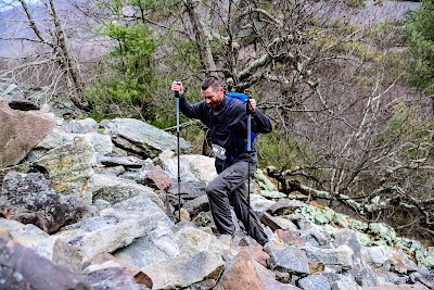 Beauty and Brutality-The Frozen Snot