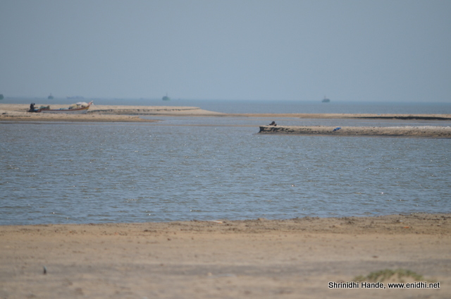Pitchavaram mangrove forest and beach boat ride- is it worth? - eNidhi ...