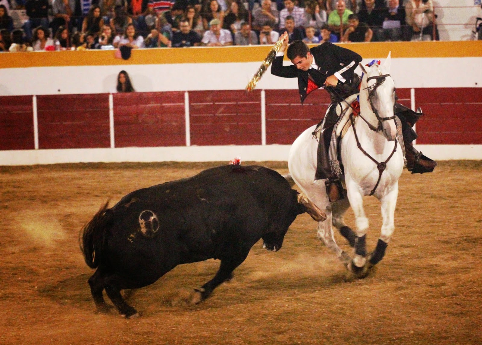 PLANETA DOS TOUROS - Para Aficionados: Tourada comemorativa do 15º ...