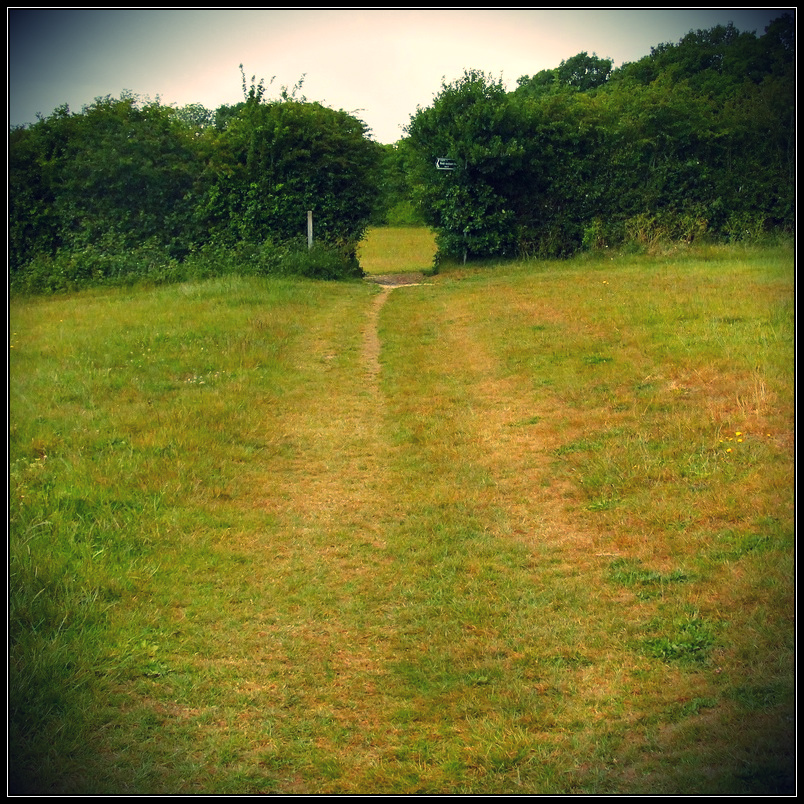 blog7t: February 2012