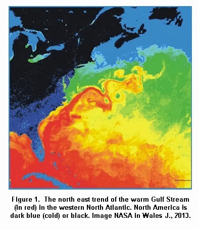 Seemorerocks: Global warming and the Gulf Stream