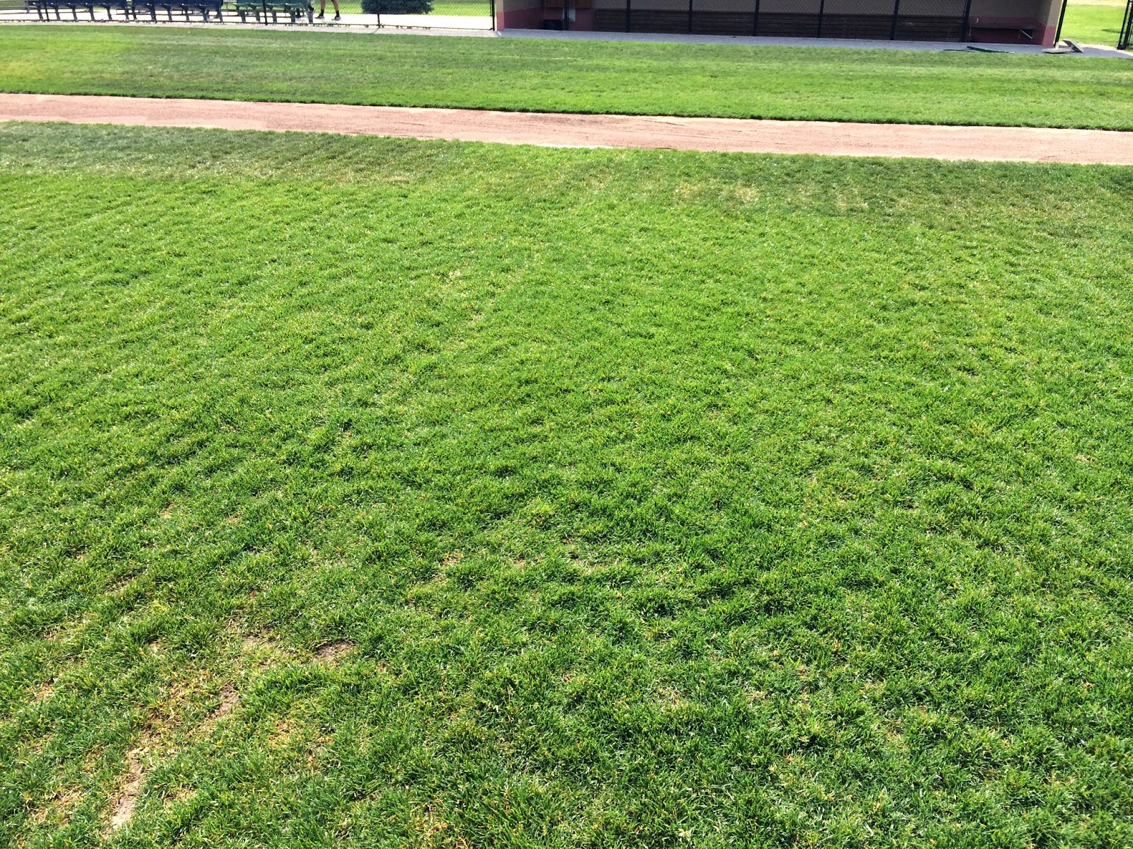 Smart Turf: It's Summer - Chasing Isolated Dry Spots in Turf