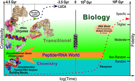 Desafiando a Nomenklatura Científica: Lançando dúvida sobre a hipótese ...