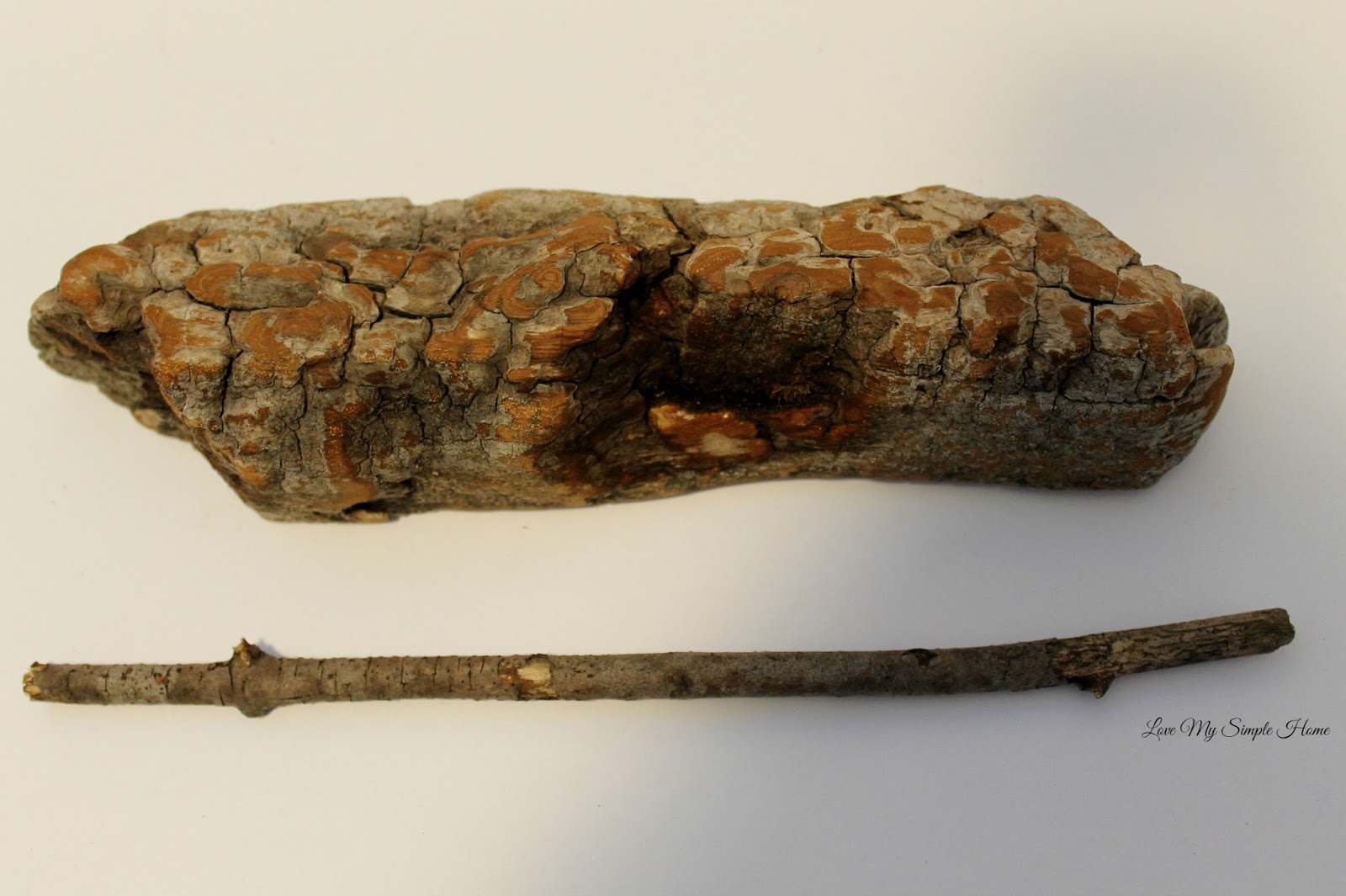 Driftwood map sailboat