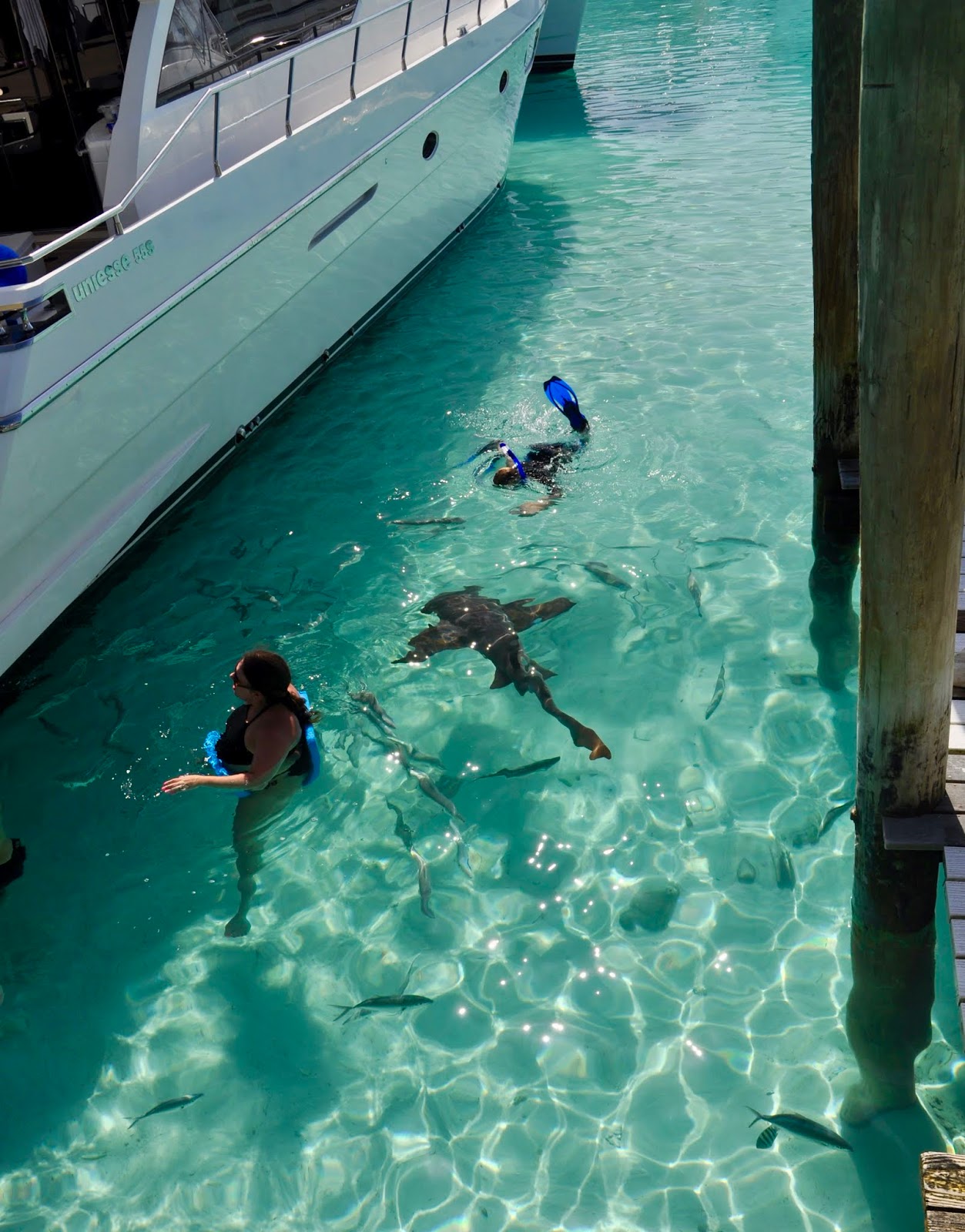 Compass Cay: Exumas Enigma