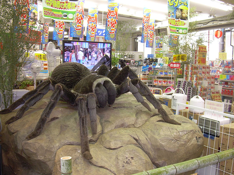 1000 Things About Japan: Won't Miss #444 - dani bugs