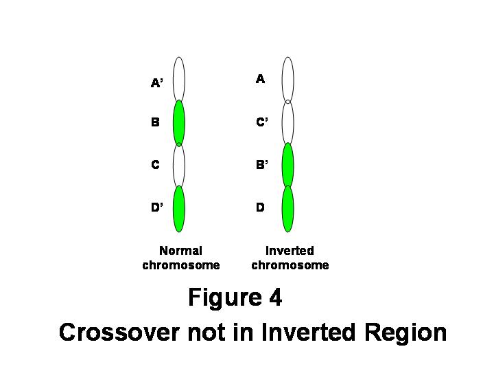 John's StoryBlog: The Secrets of Life (5 of 5) - Crossover and ...